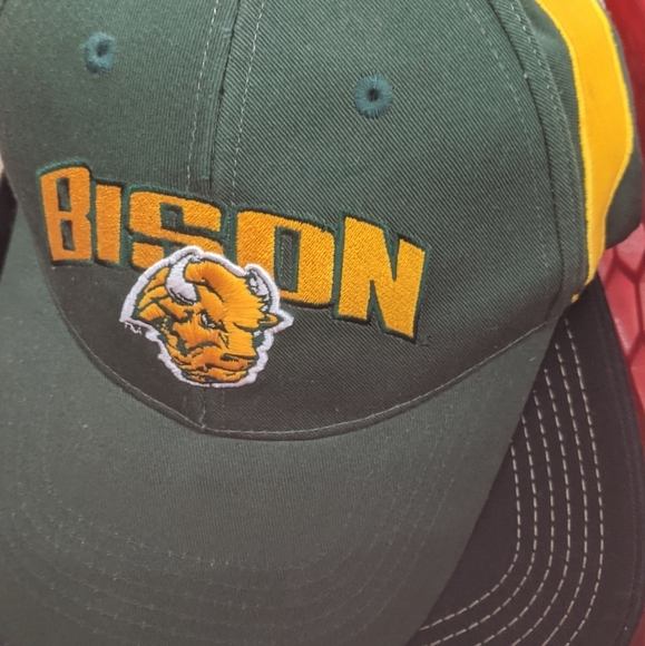 Accessories | Free Nwot Ndsu Bison Cap | Poshmark